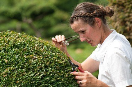 Unrelenting Standards • Schema Therapy Online